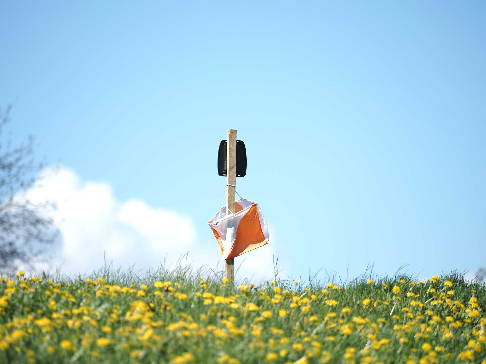 Kalle Rantalan kolumni: Puoli vuotta aikaa - Juoksija